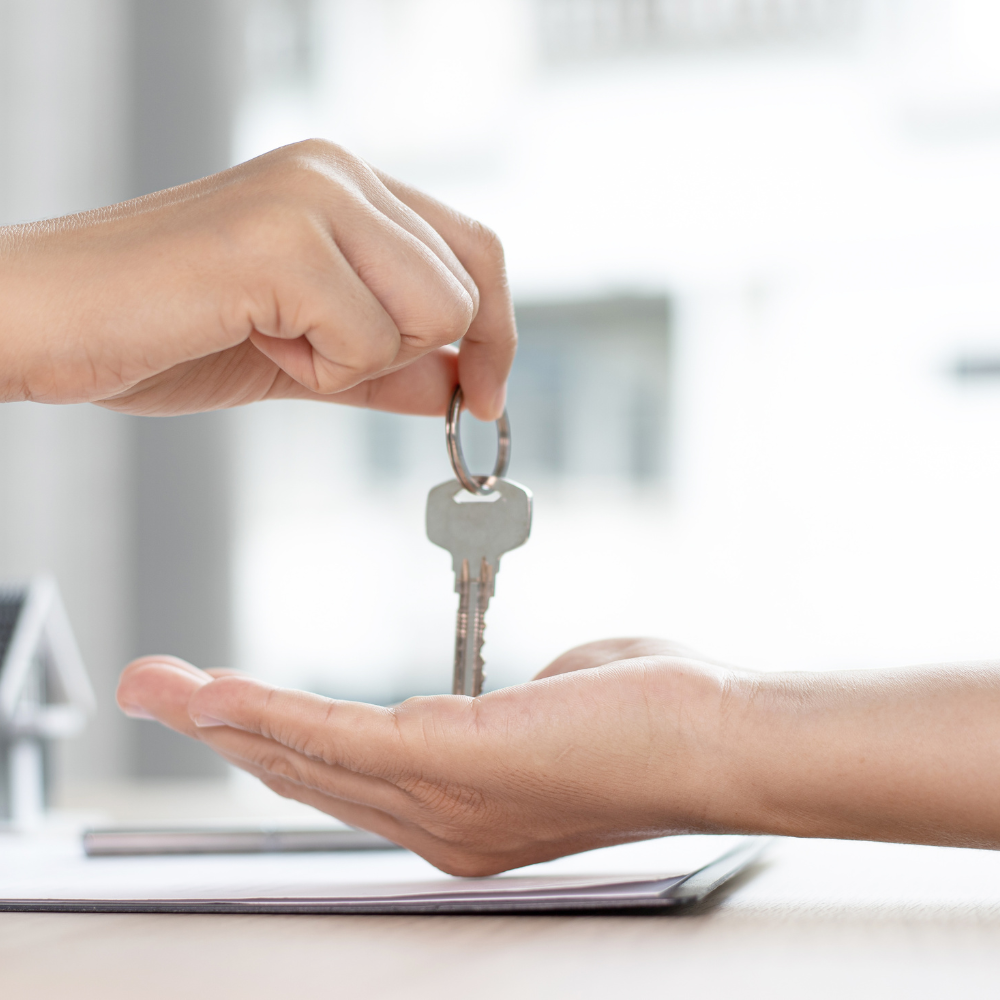 Todo sobre alquileres